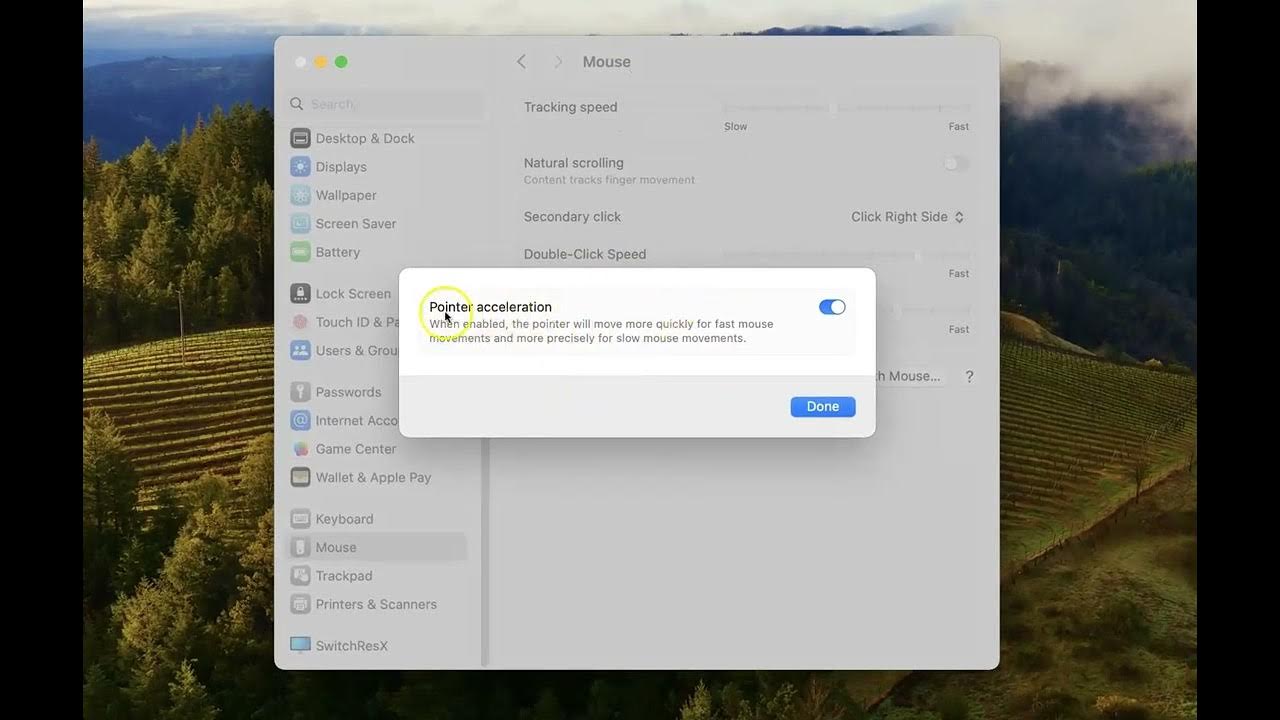 How to Disable Pointer Acceleration on macOS Sonoma? - YouTube