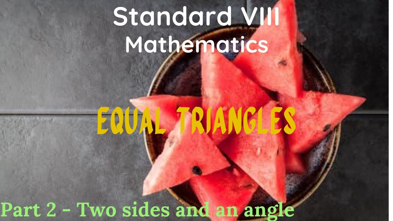 Standard 8 Maths Chapter 1 | 8th Class Maths Chapter 1 Equal Triangles ...