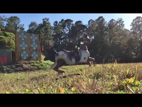 Tannerite Explosive Used Inside Old Rocking Horse - Best Exploding ...