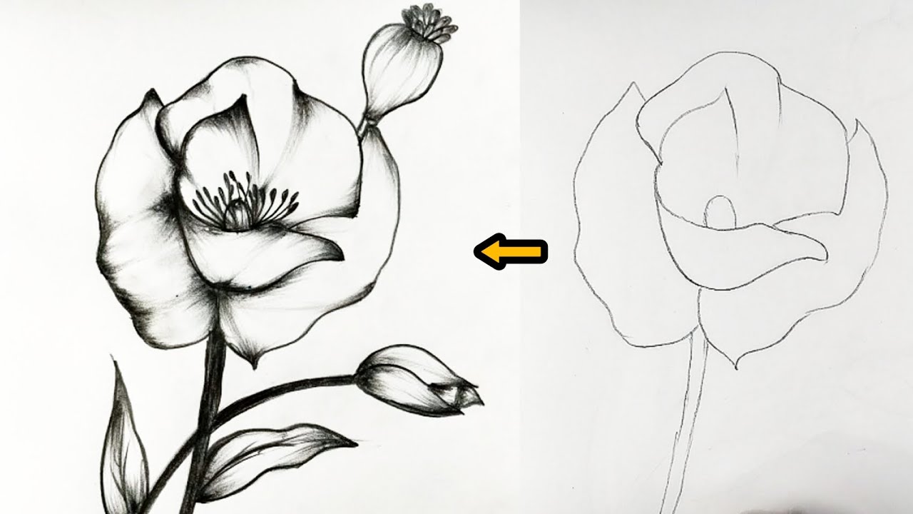 how to draw easy flower || easy flower draw || step by step - YouTube