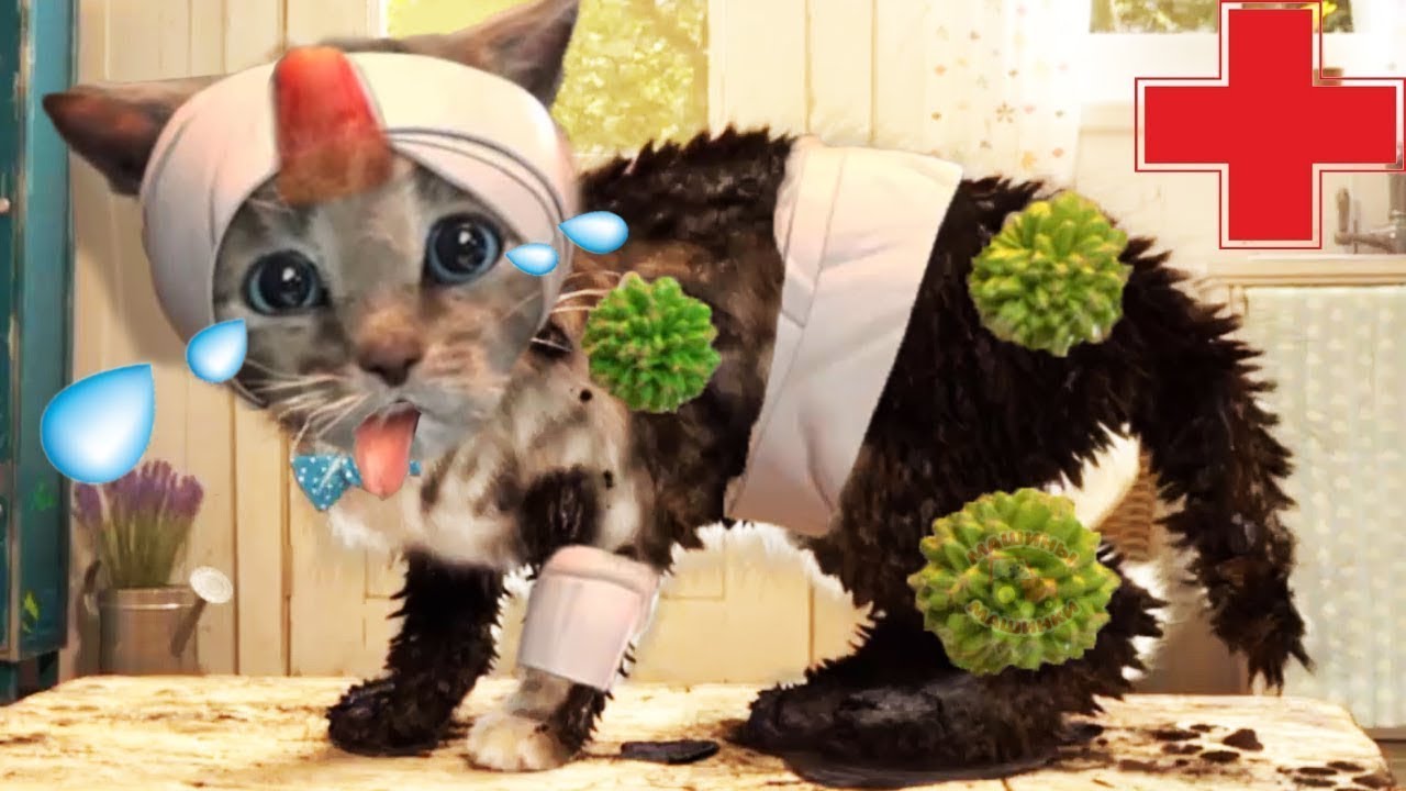 Little Kitten Preschool Adventure Educational Games -Play Fun Cute ...