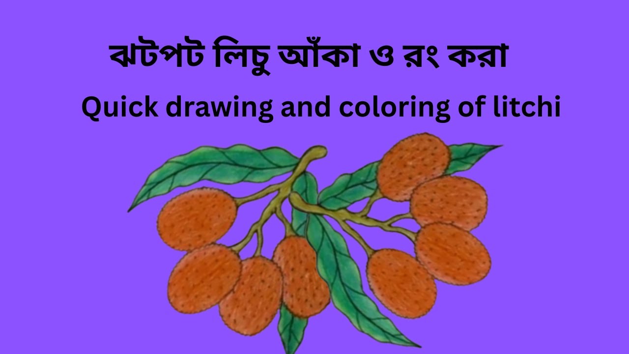 How To Draw Litchi Easily 🍒 🍒 লিচু আঁকা | Lychee drawing | Fruit ...