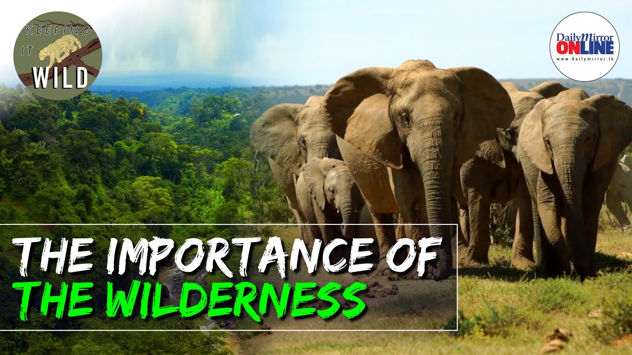 Keeping It Wild | Episode 02 - The Importance of the Wilderness - YouTube