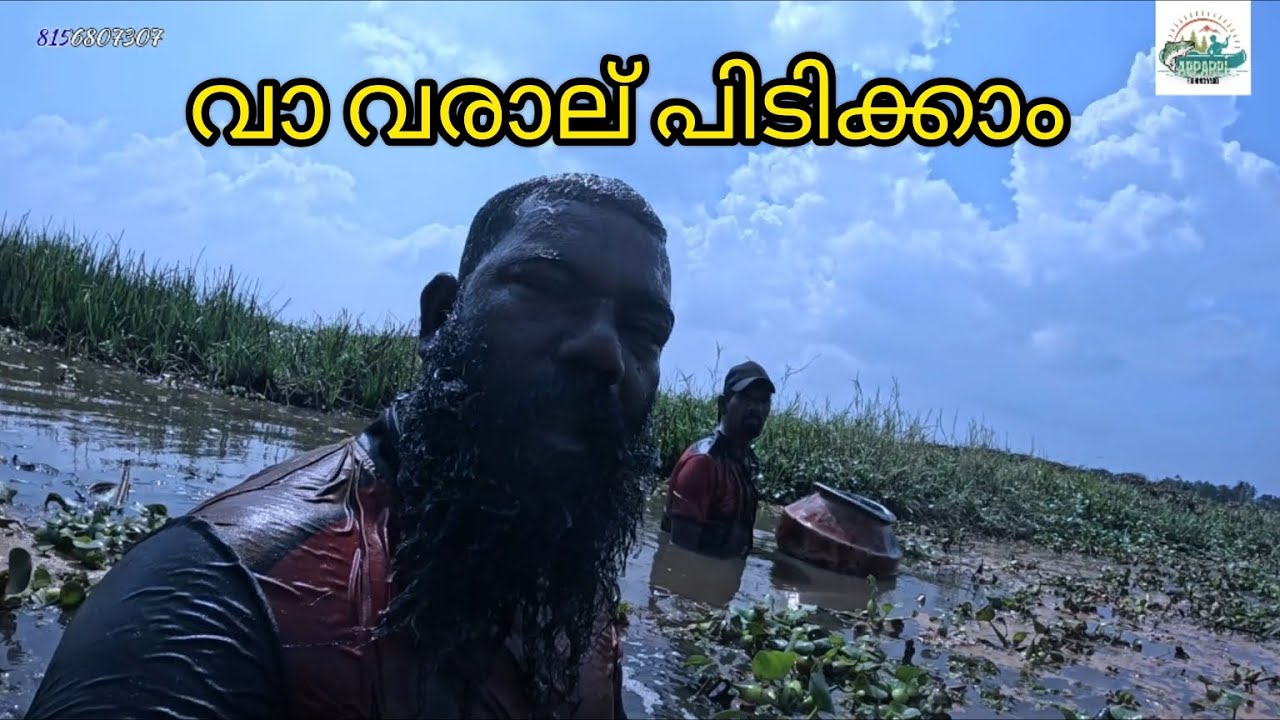 വാ വരാല് പിടിക്കാം#kerala #fisharman #kuttanadanfishing #allfish # ...