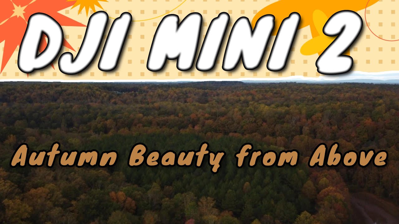 Autumn Beauty from Above: DJI Mini 2 Drone Footage of Kincheloe Soccer ...