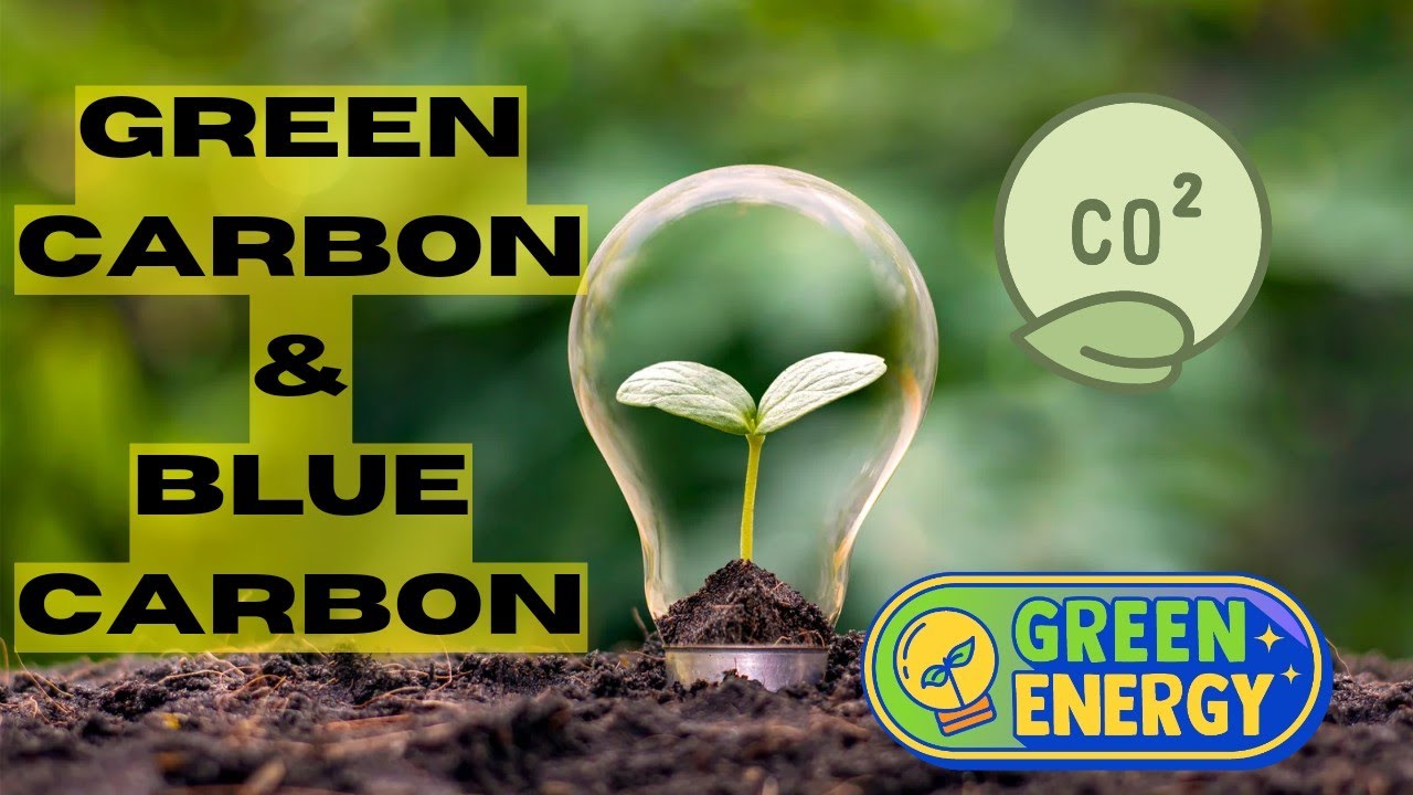 GREEN CARBON & BLUE CARBON - CONCEPTS OF ENVIRONMENT FOR UPSC - YouTube