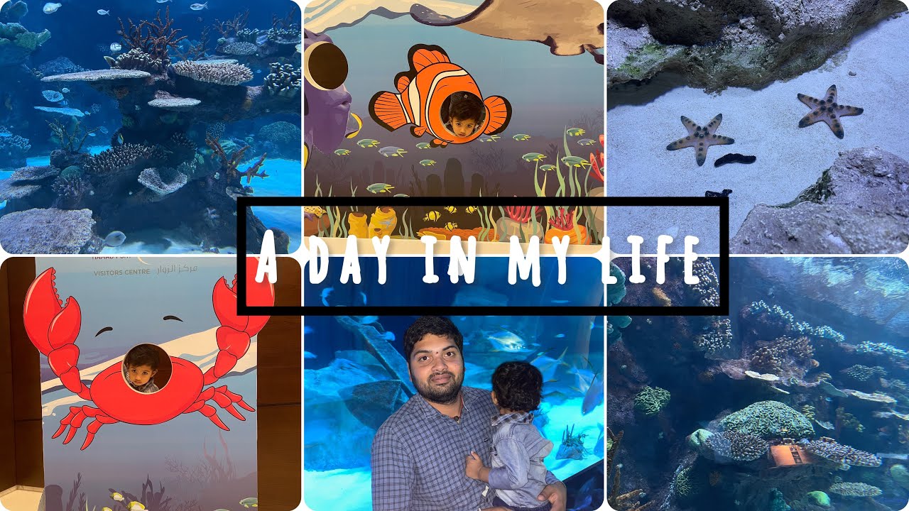 A day out in qatar || Hamad port visitor center || #aquarium #qatarvlog ...