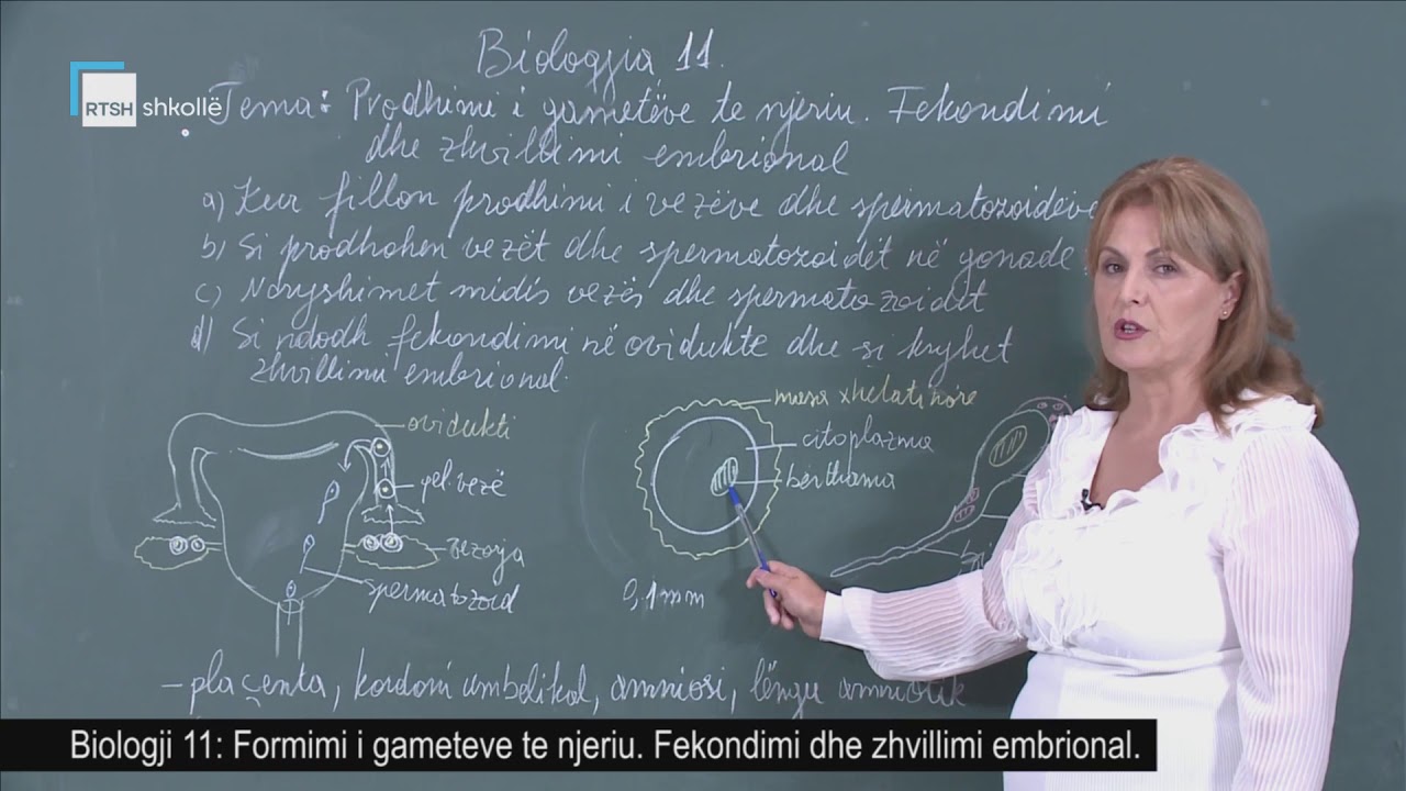 Biologji 11 - Formimi i gameteve te njeriu. Fekondimi dhe zhvillimi ...