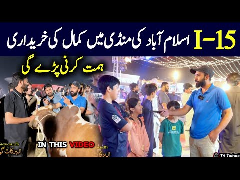 I-15 Mandi live Deal - Bargaining in Cow Mandi - Bakra Mandi 2024 - fateh jangi bull 2024 - Qurbani