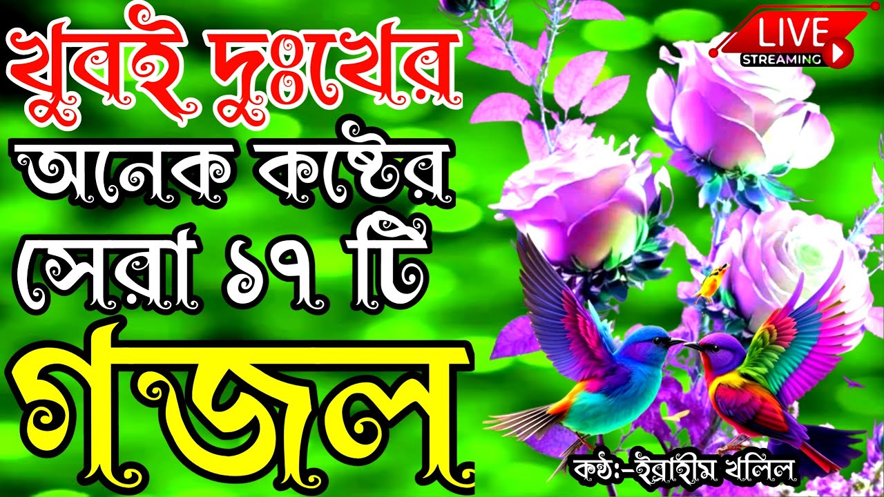 🔴Live Gojol ঘুমানোর আগে গজল গুলি শুনুন || gojol | Gojol | gojal ...