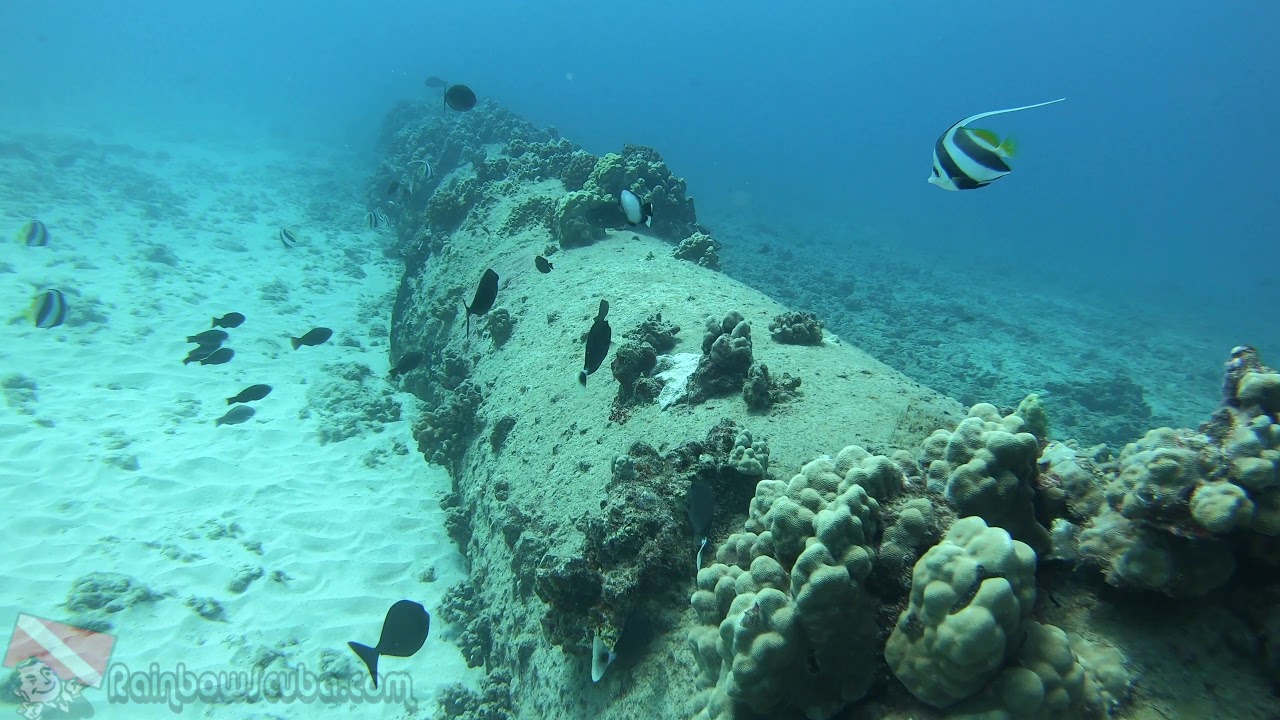 Kewalo Pipe reef Honolulu Hawaii - vlog 363 - YouTube