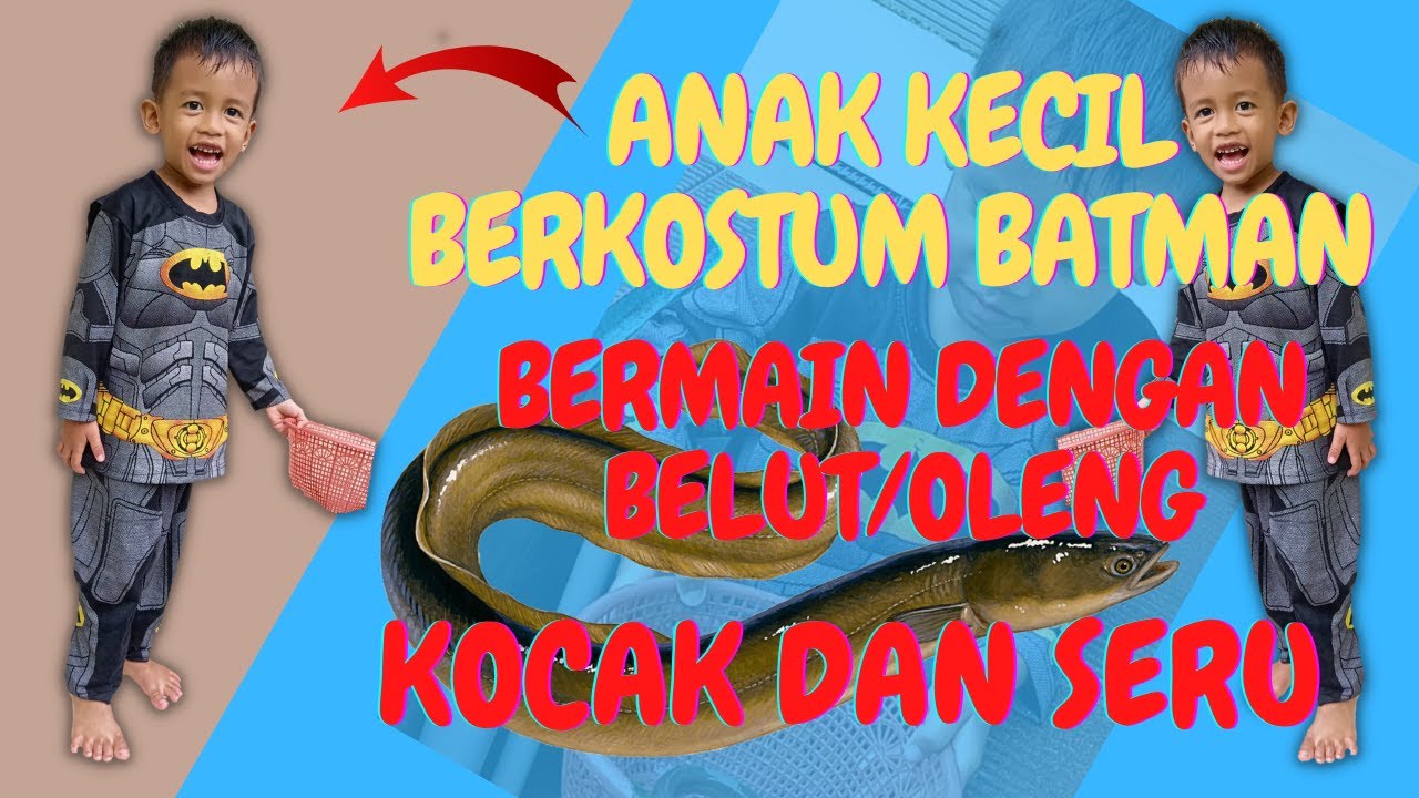 Anak Kecil Bermain Belut Di Kolam - Little Boy Playing Eel in the Pool ...