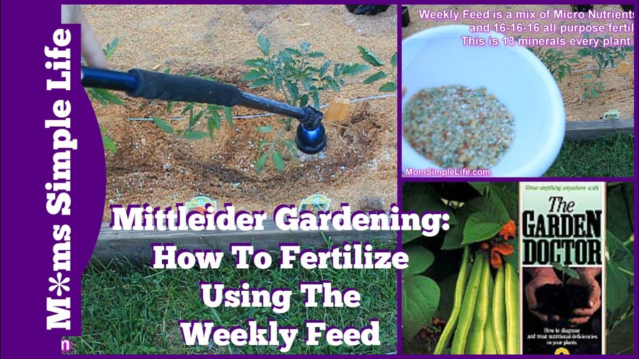 Mittleider Gardening: Weekly Feed Day! - YouTube