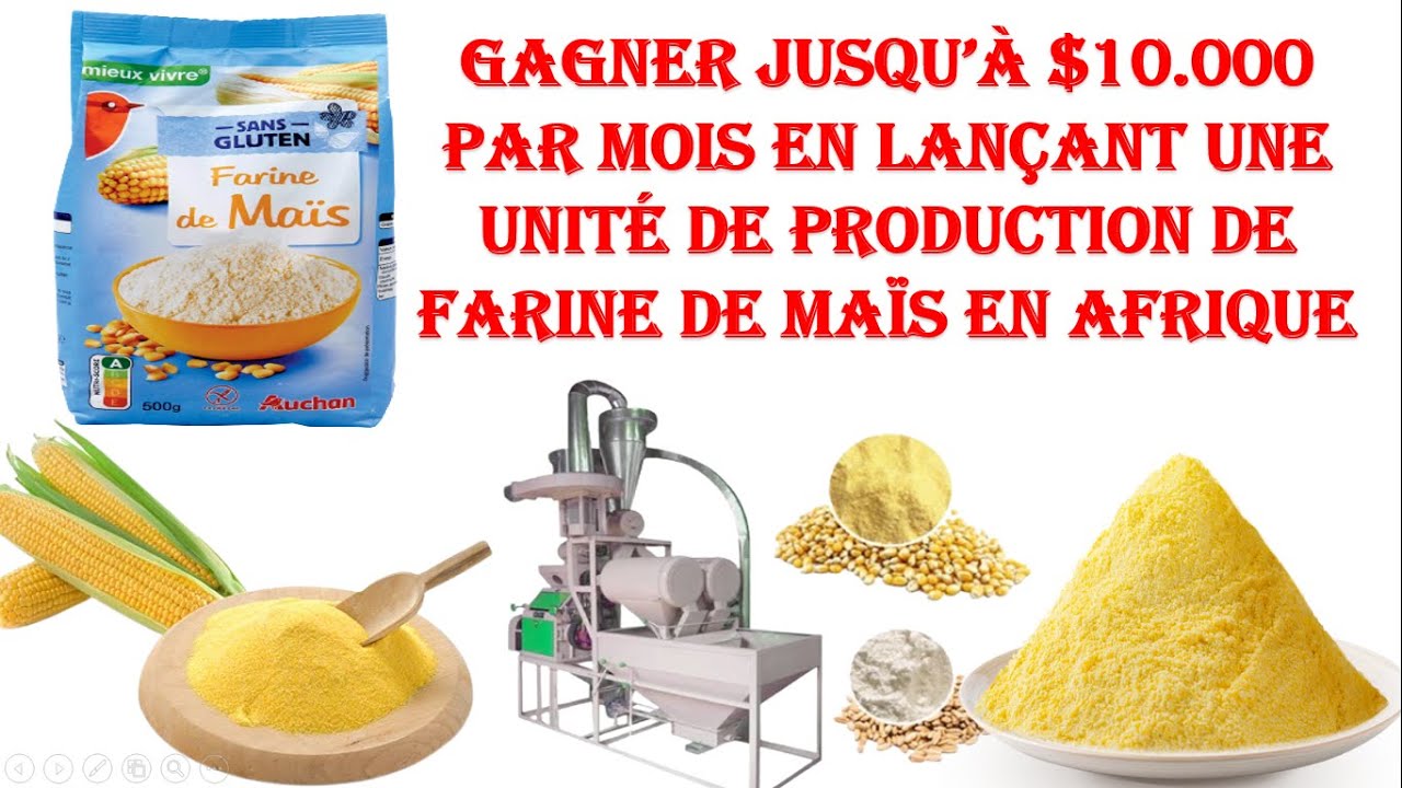 Gagnez Jusqu 10 000 mois Avec Une Unit De Production De Farine De gagnez-jusqu-10-000-mois-avec-une-unit-de-production-de-farine-de
