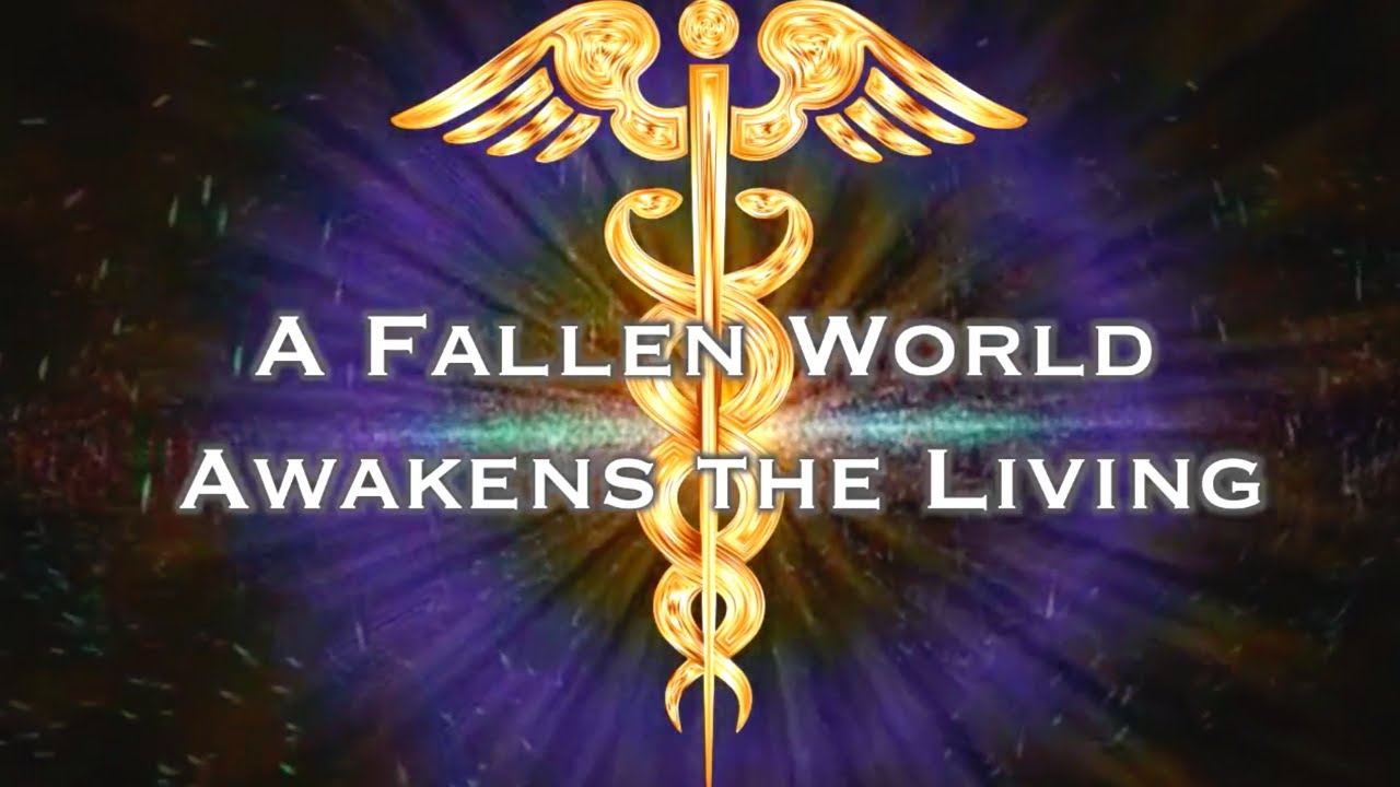 A Fallen World Awakens The Living YouTube a-fallen-world-awakens-the-living-youtube
