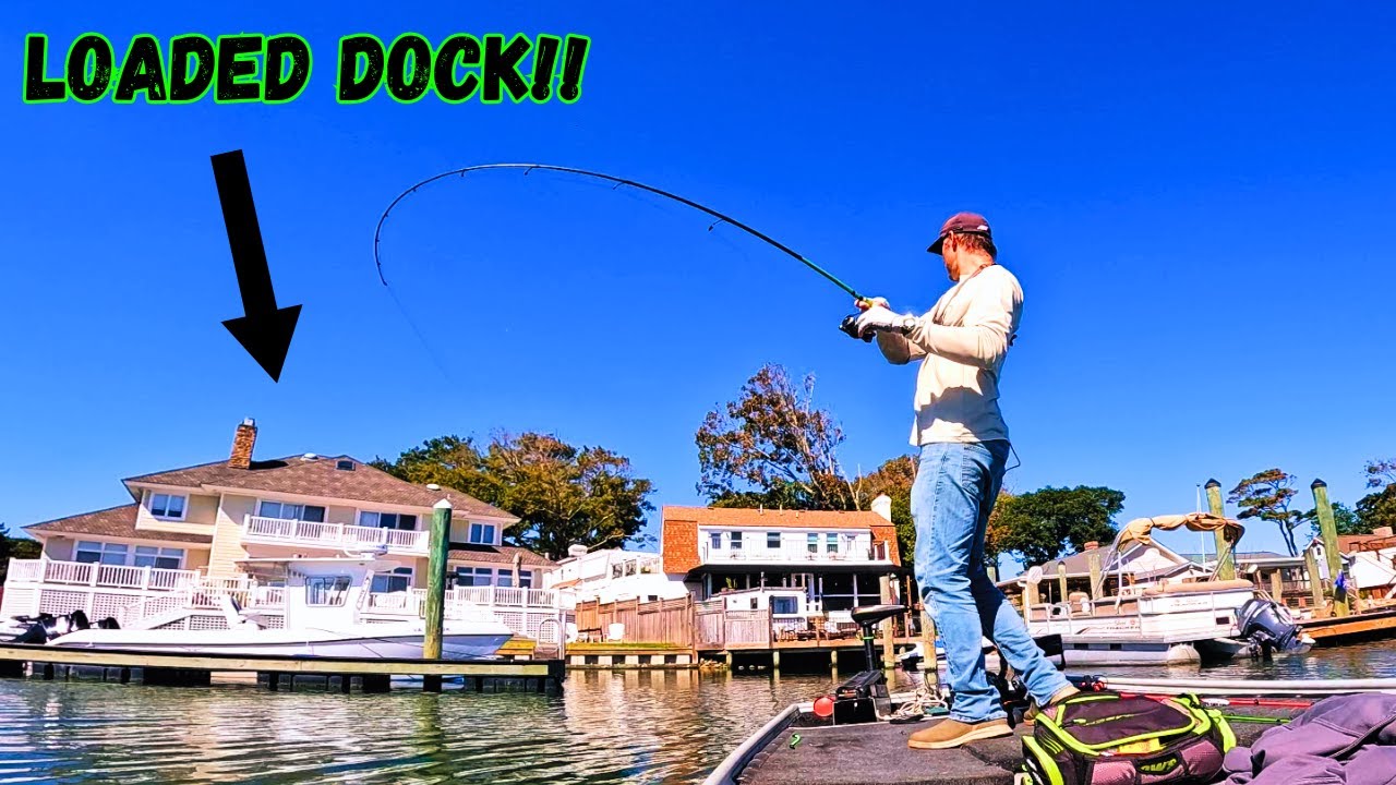 Skipping MILLION DOLLAR DOCKS For AGGRESSIVE FISH!!! - YouTube