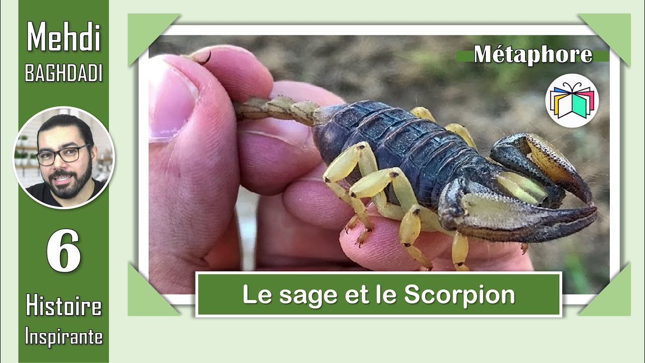 Le sage & le scorpion. - YouTube