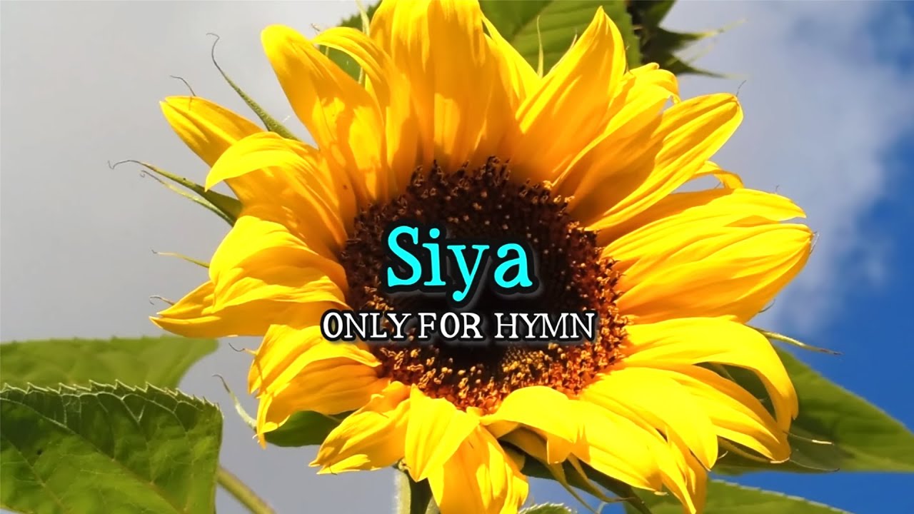 Siya - Piano Accompaniment with lyrics - YouTube
