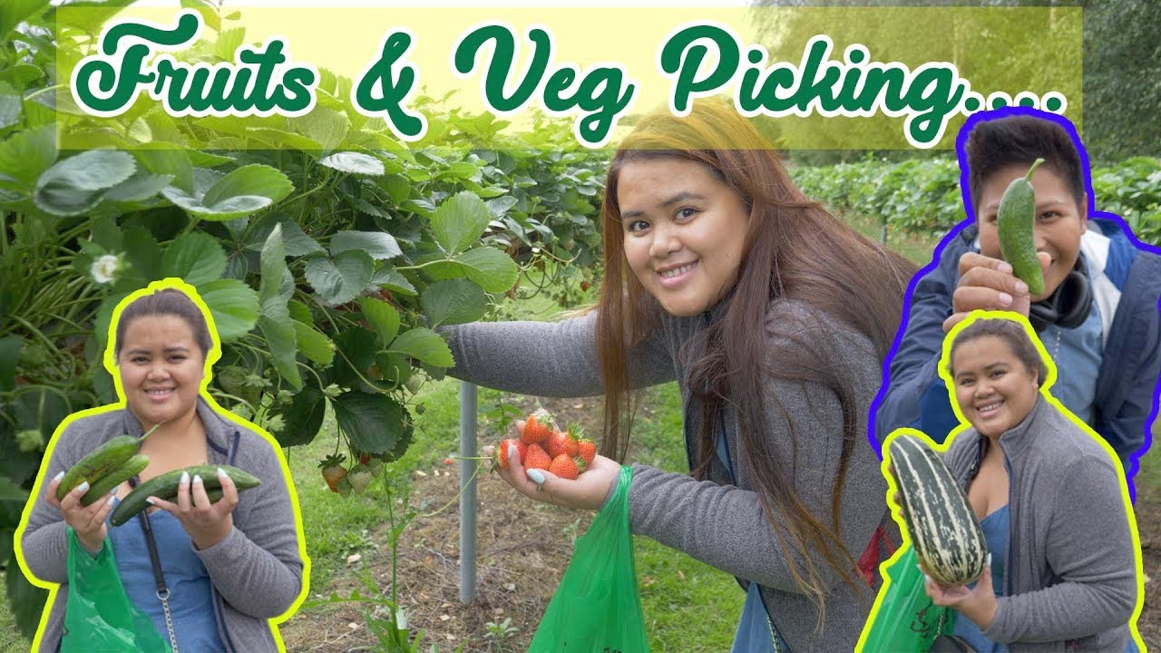 Fruit and Vegetable Picking... We also went to the beach... - YouTube