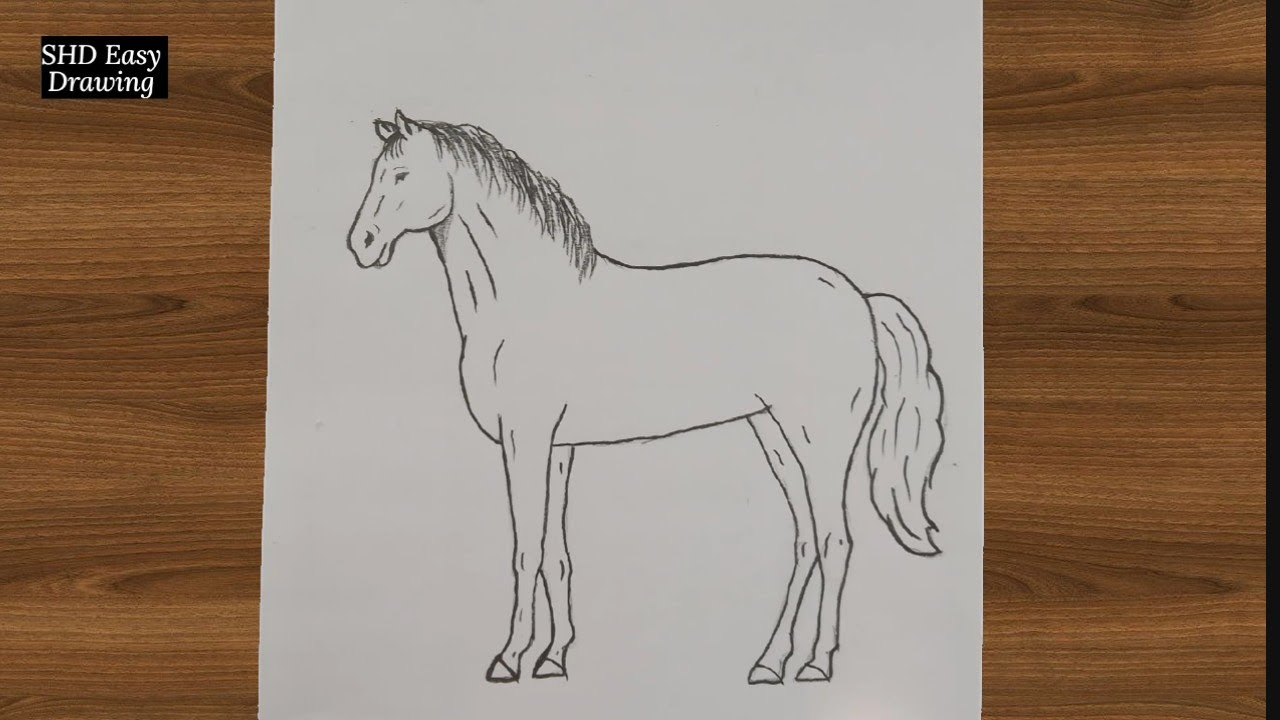 How to draw HORSE step by step / Easy Drawing Ideas For Beginners ...
