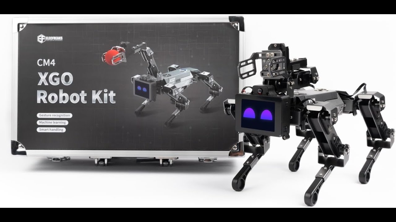 The ELECFREAKS XGO Mini V2 Robot Dog in Action! - YouTube