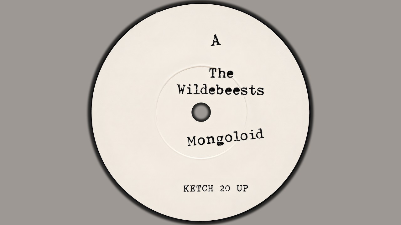 The Wildebeests - Mongoloid (Garage Rock, Devo Cover) - YouTube