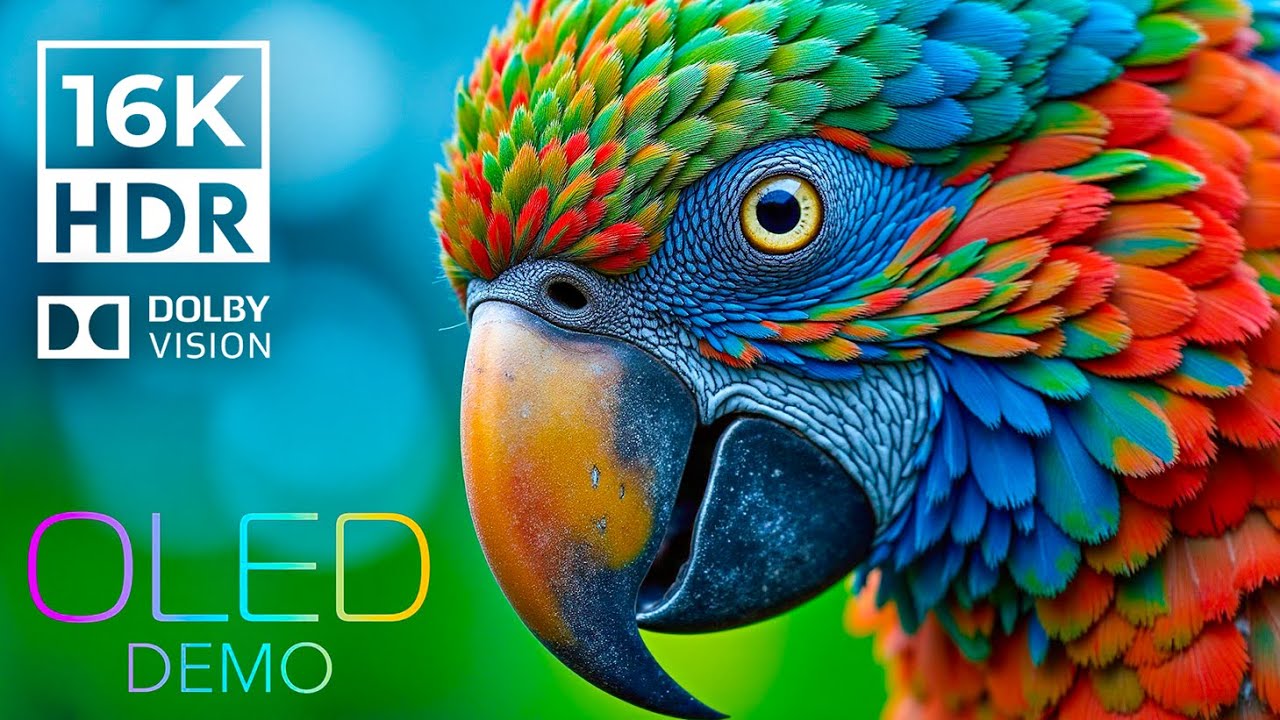 16K HDR 120FPS - BEST OF OLED Dolby Vision Demo (16K / 8K / 4K Video ...