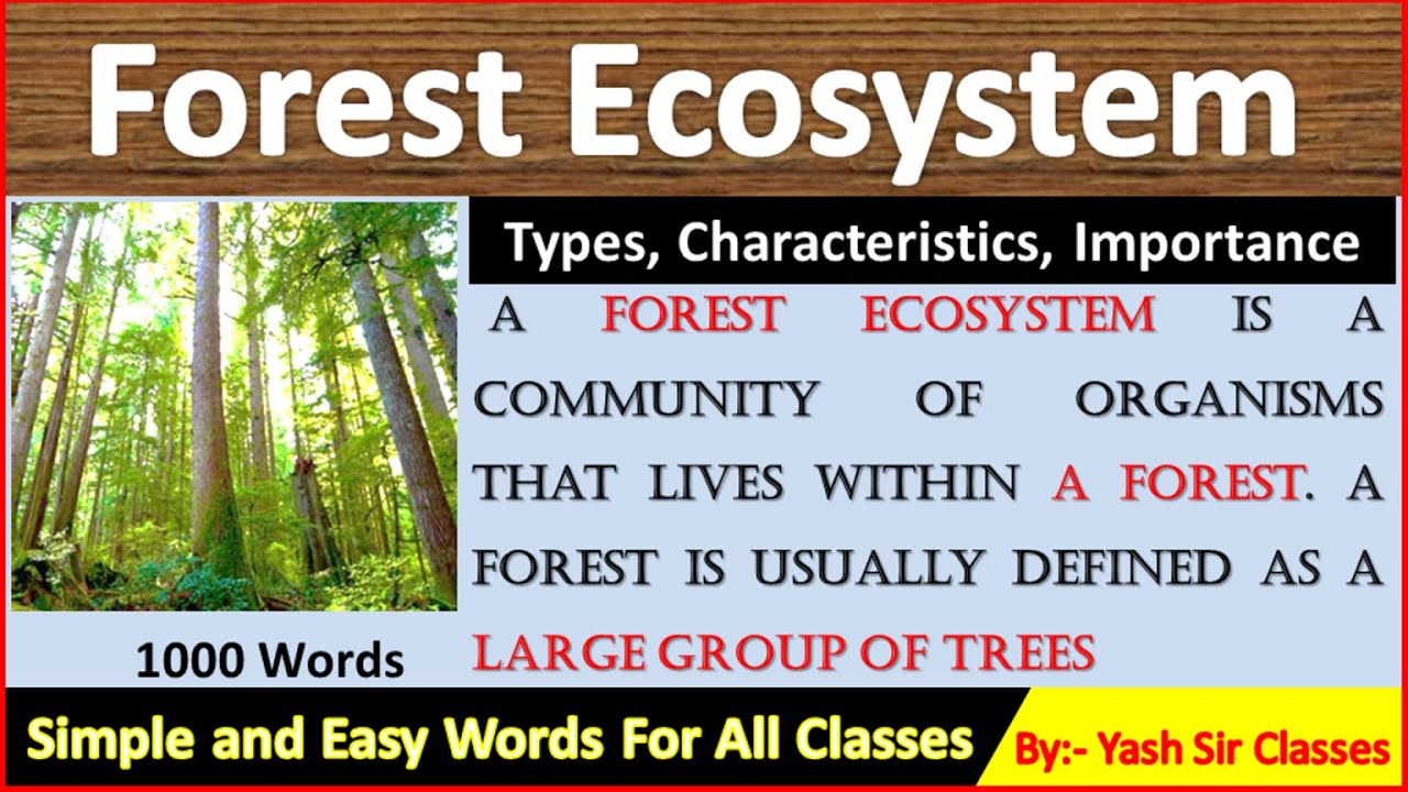 Forest Ecosystem Types, Characteristics, Importance, Forest Ecosystem ...