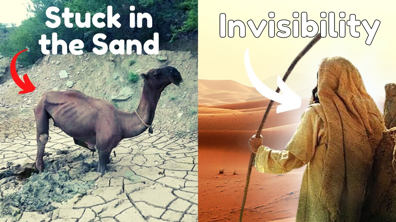 11 Biggest Miracles Performed by Prophet Muhammad (ﷺ) - YouTube