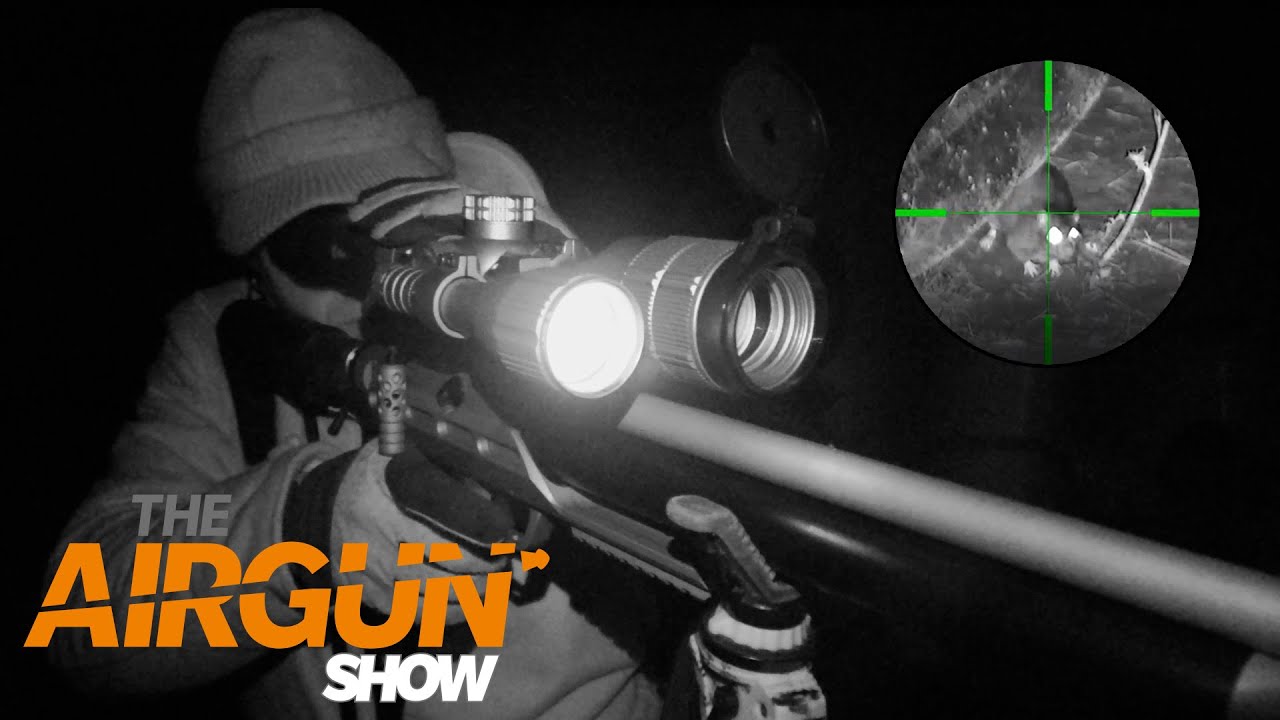 The Airgun Show – frantic night rat hunting with the InfiRay Tube ...