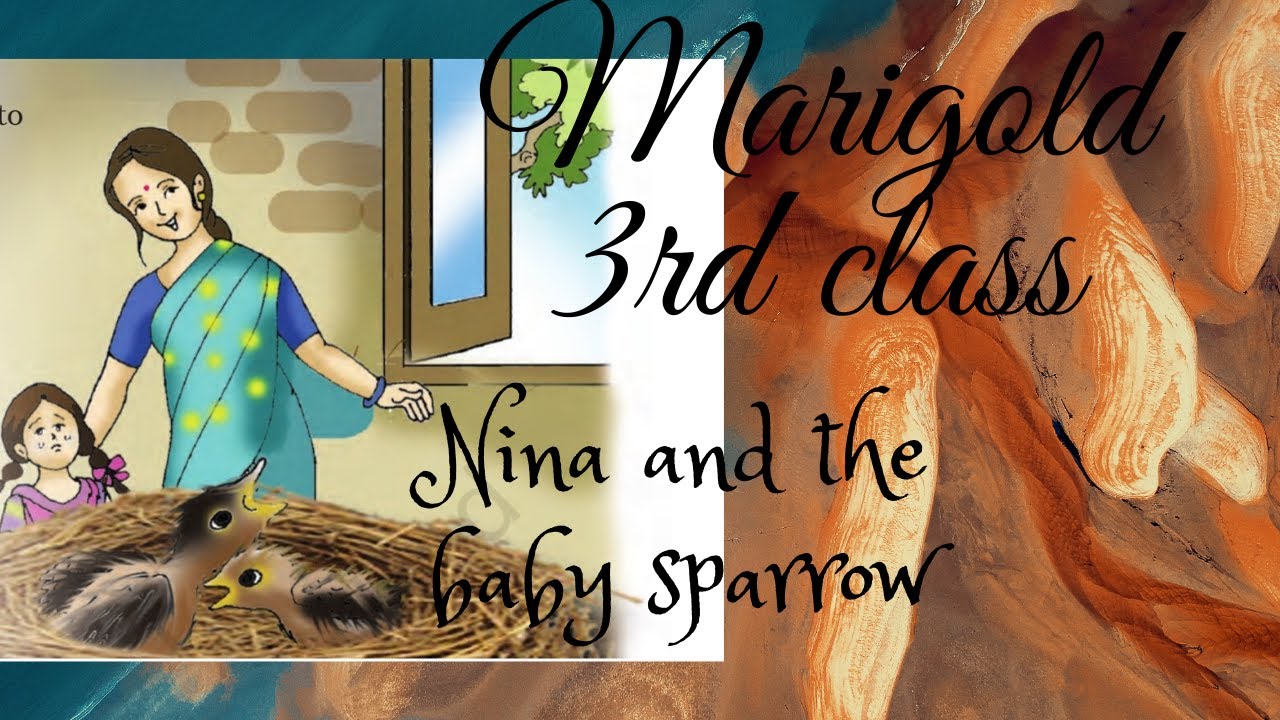 nina-and-the-baby-sparrow-3rd-class-english-ncert-with-hindi