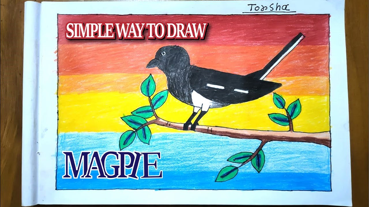 Simple Way to Draw Magpie step by step/খুব সহজে দোয়েল পাখি অংকন। - YouTube