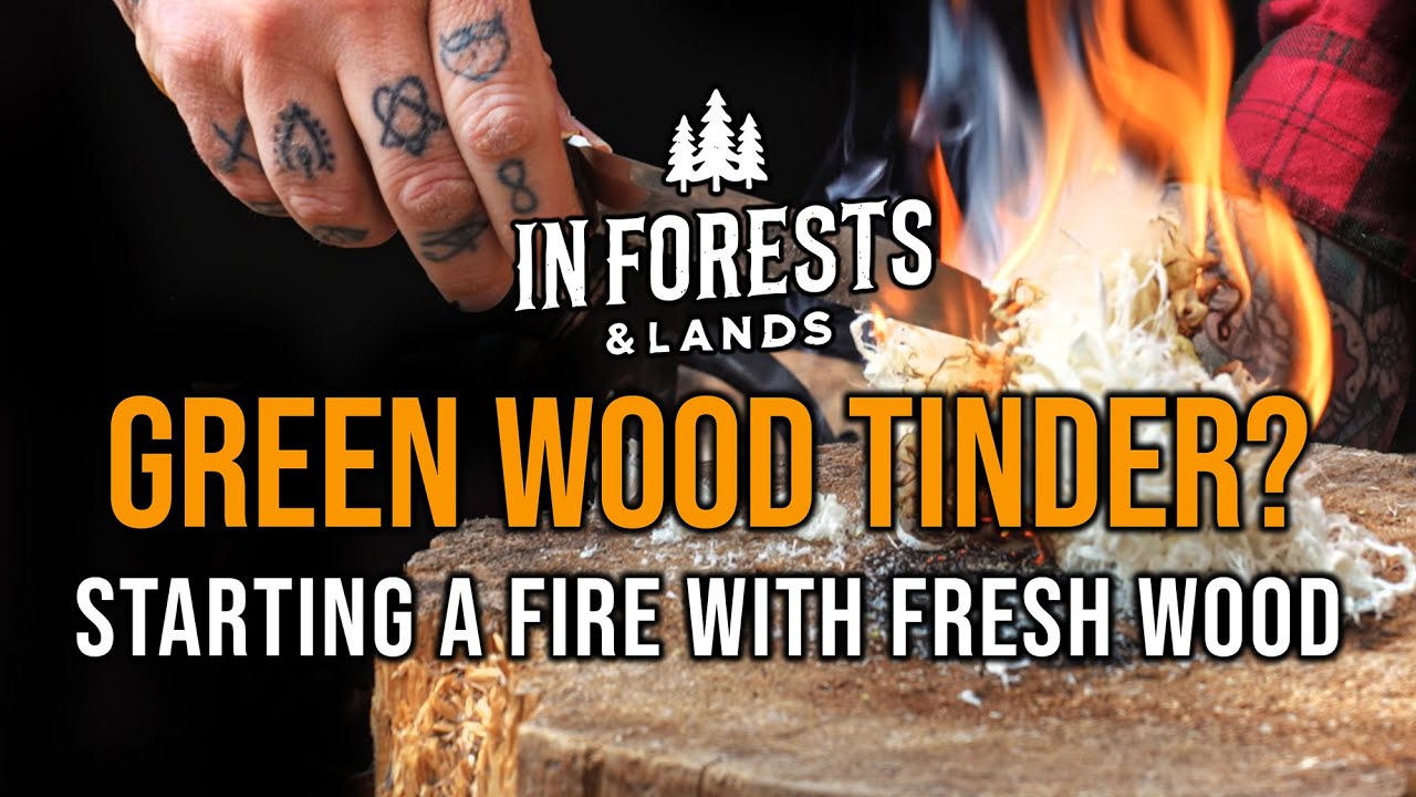 Green Wood Tinder - Starting A Fire With Fresh Wood - Joe Price ...