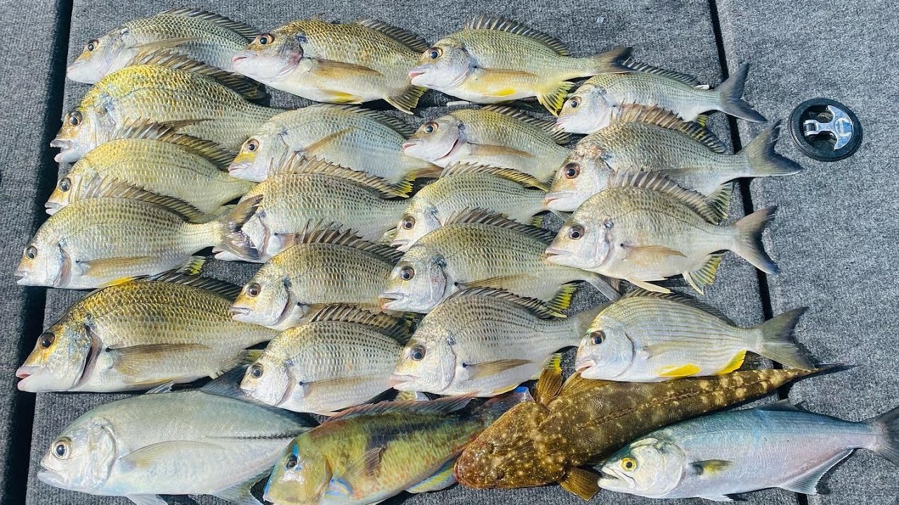 Gold Coast, Raby Bay & Redcliffe Fishing in July aboard SEQ ...