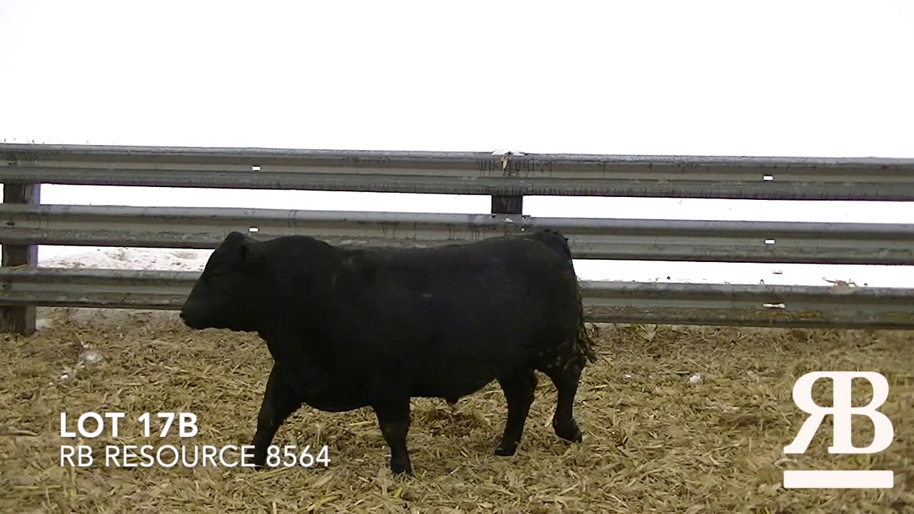 Lot 17B RB Resource 8564 - YouTube