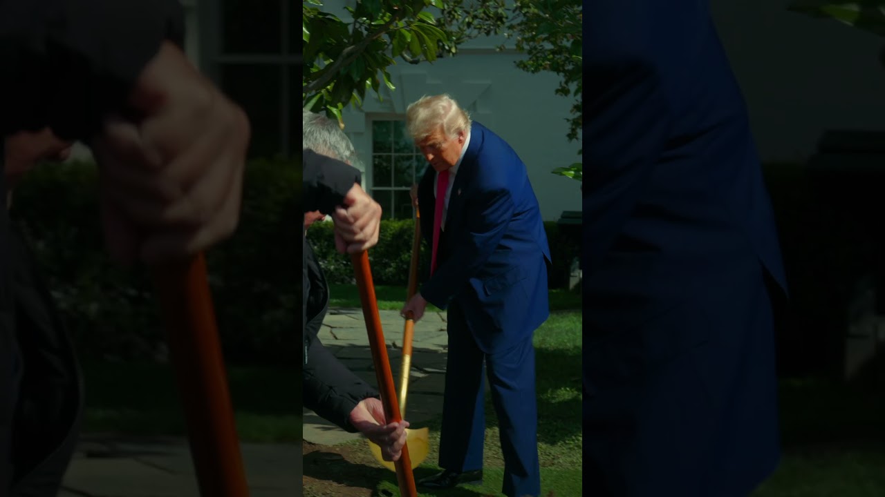 Enjoy White House Photos of the Week, November 9-15, 2019 (Photo ...