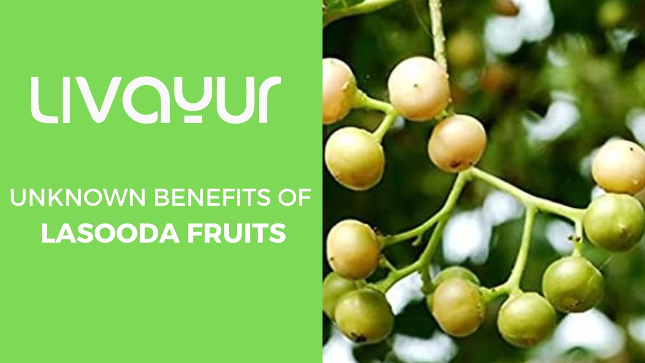 Get To Know About The Health Benefits Of Lasoda Fruit And How To ...