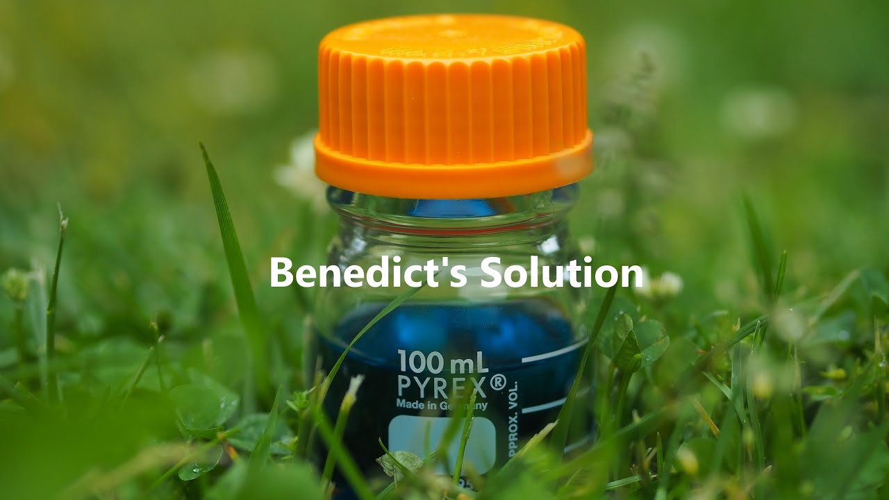 How to Make Benedict's Solution Finale - YouTube