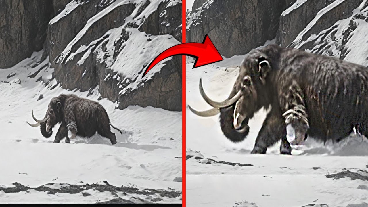 Animals Thought To Be Extinct Caught Alive - YouTube