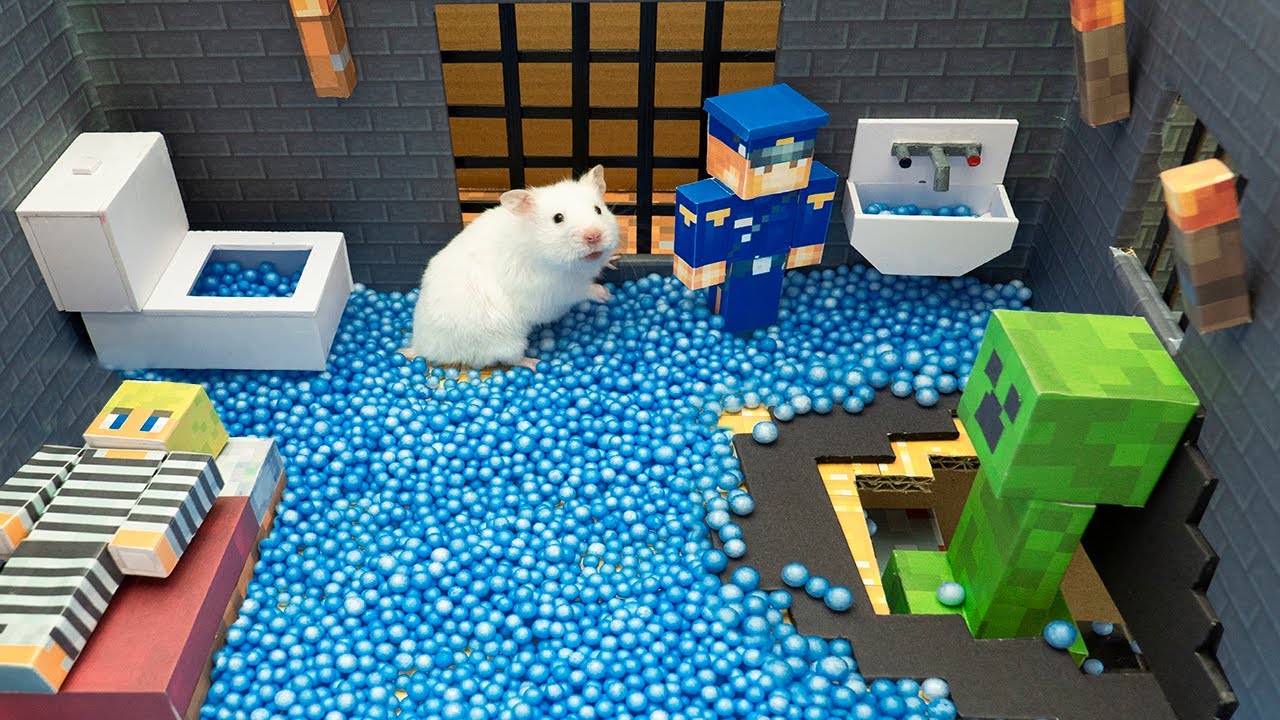 Hamster vs. Pop-it Obstacle Course: Who Will Come Out? | Hamster Life ...