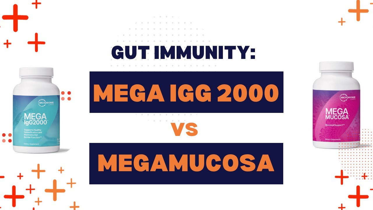 Gut Immunity: Mega IgG 2000 vs MegaMucosa - YouTube