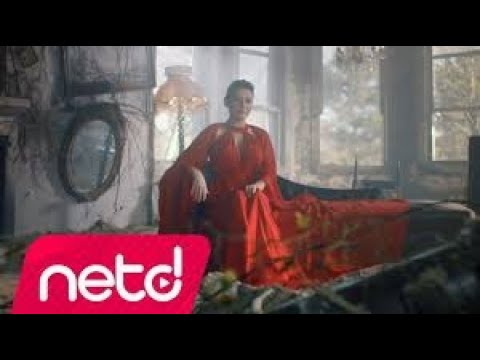 Deniz Seki - Öğrendim