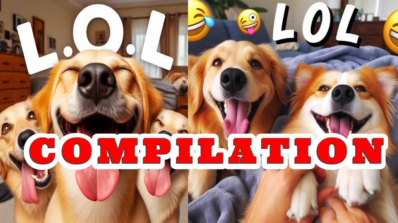 Ultimate Funny Compilation | Animals & Humans Being Silly | Funny - YouTube