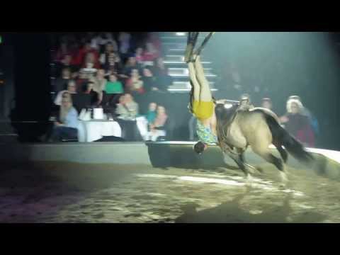 Apassionata 2014, Zeit für Träume: Strandzauber mit den Voltigeurs du Monde, Teil 1