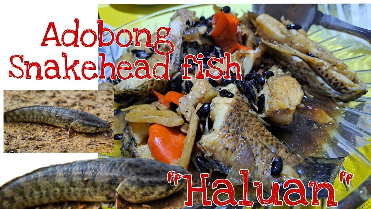 Adobong Haluan or Snakehead fish recipe.Ulam ng mga bisaya..ang dali ...