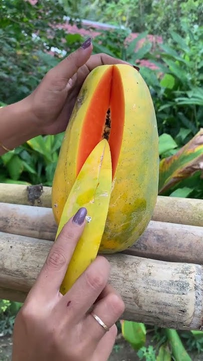 Pepaya Viral #pepaya - YouTube