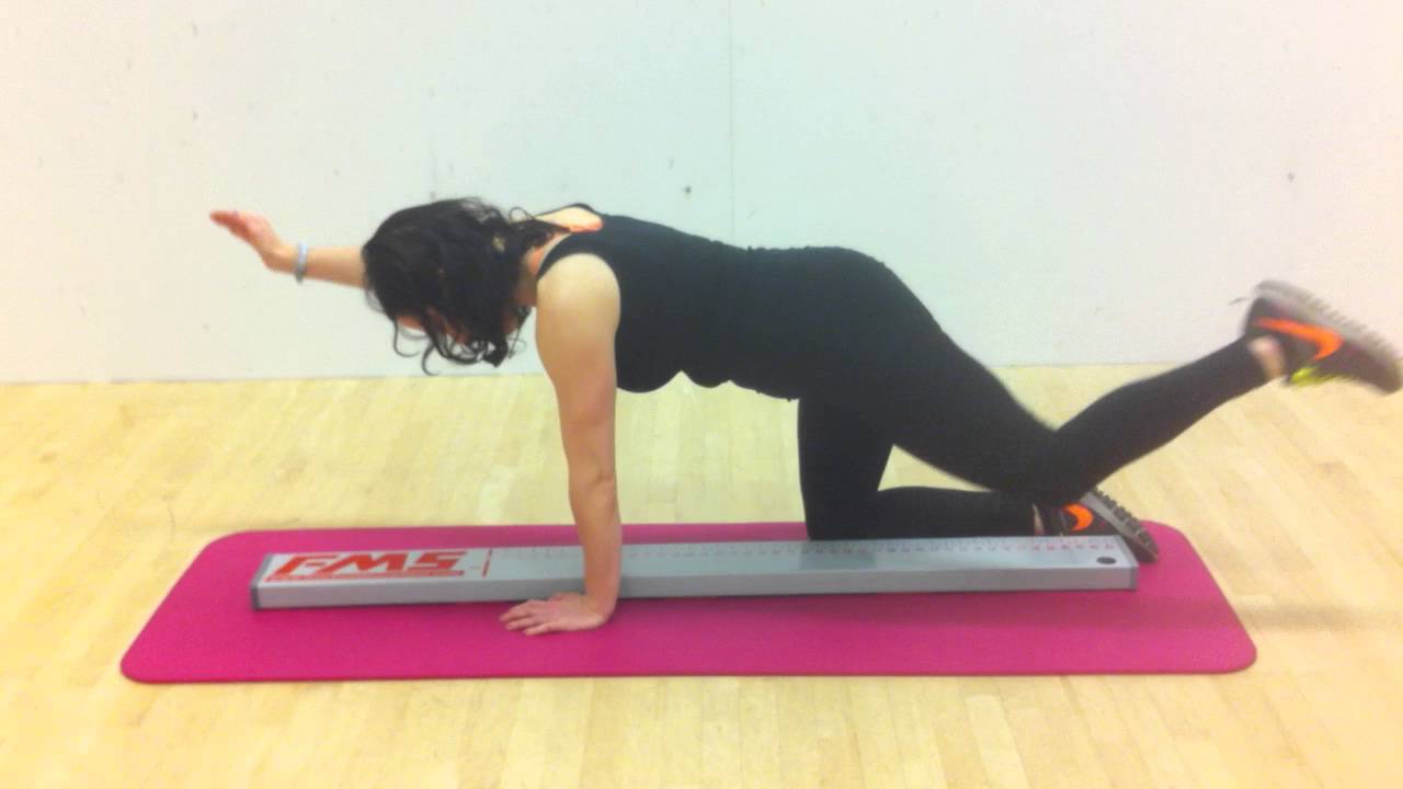 Rotary Stability (Right) - YouTube