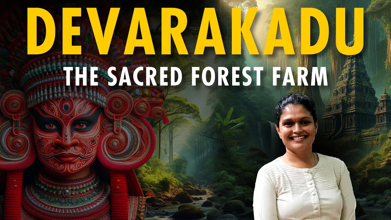Devarakadu: The Sacred Forest Farm & Its Forgotten Healing Secrets ...