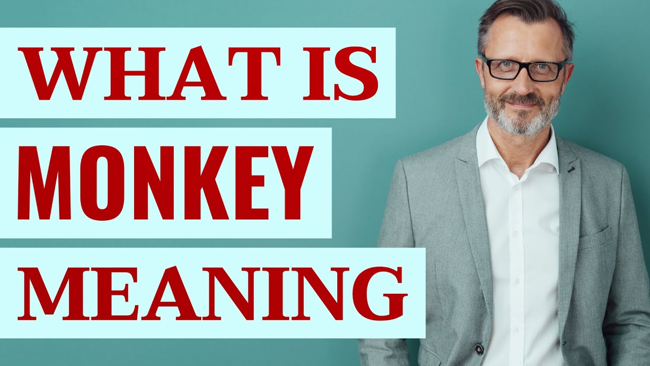 Monkey | Meaning of monkey - YouTube