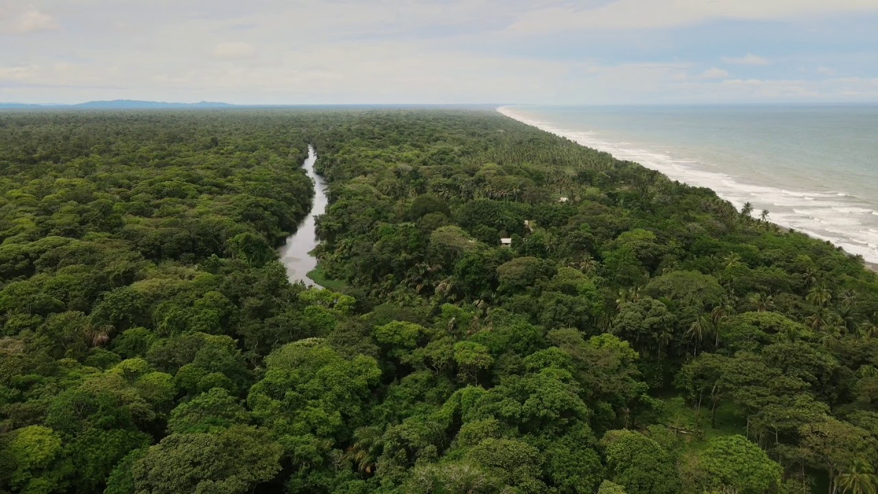 Canales de Tortuguero, Pococí, Limón. Costa Rica - YouTube
